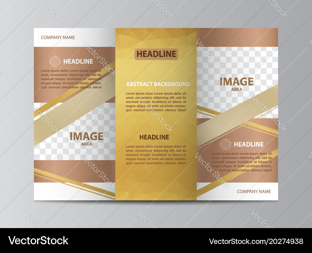 Modern Tri-Fold Brochure Template Royalty Free Vector Image