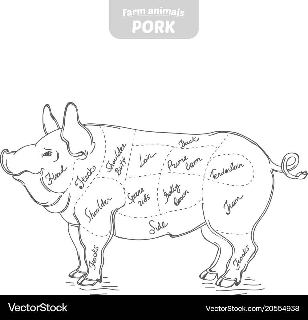 Pig hand-drawn Royalty Free Vector Image - VectorStock
