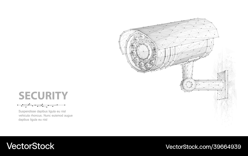 Security camera system smart home cctv Royalty Free Vector