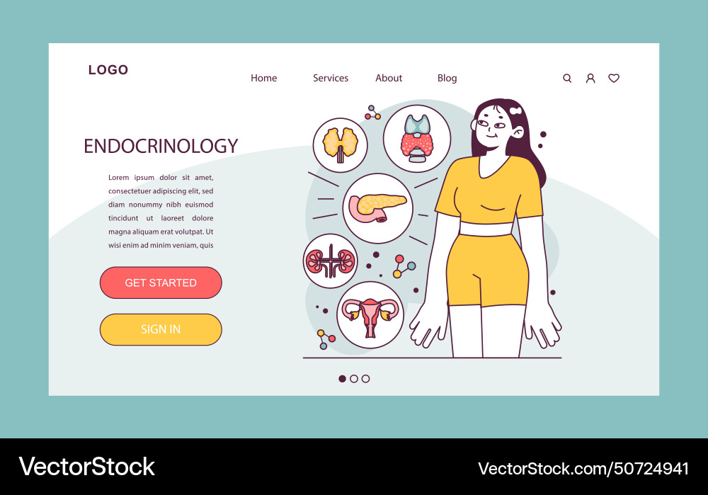 Endocrinology web banner or landing page Vector Image