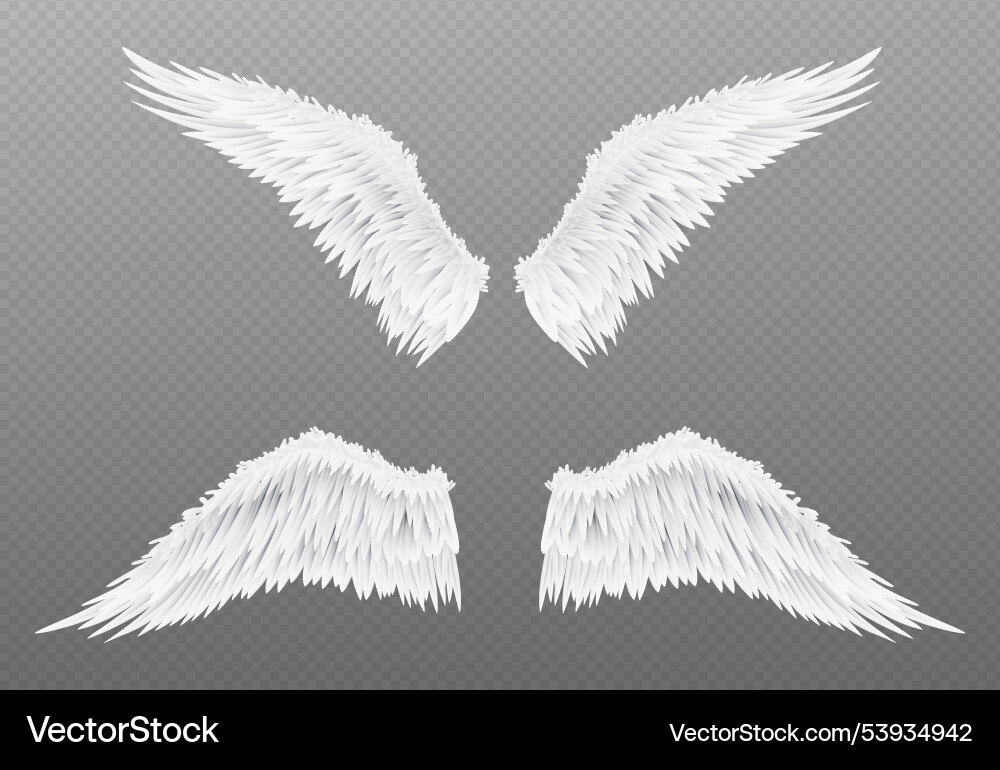 3d white realistic angel wing isolated Royalty Free Vector