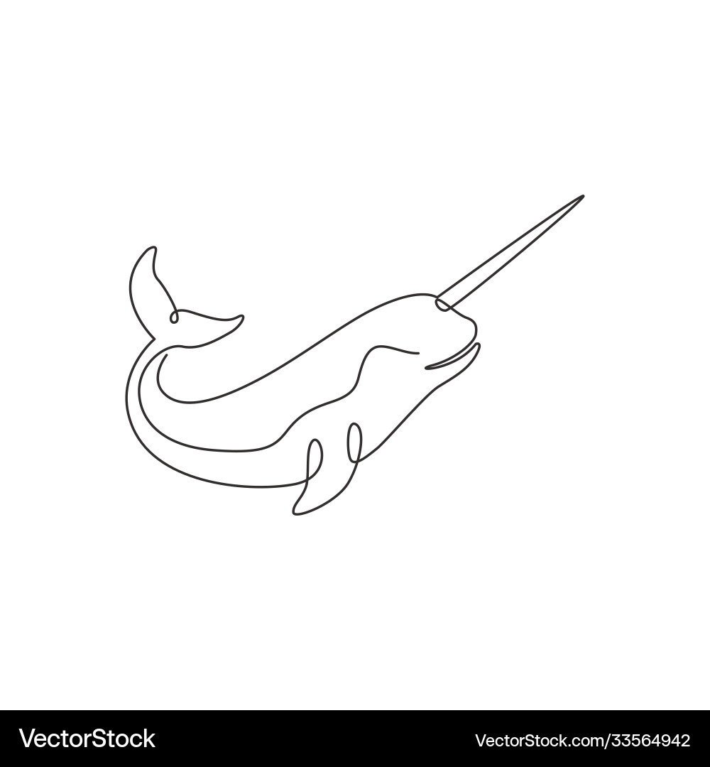 One continuous line drawing cute narwhal Vector Image