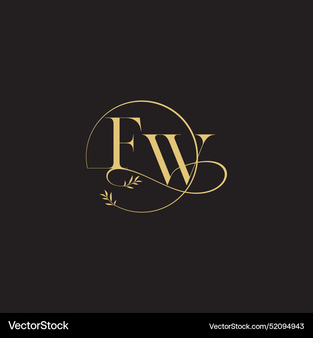 Luxury concept fw circle and organic style Vector Image