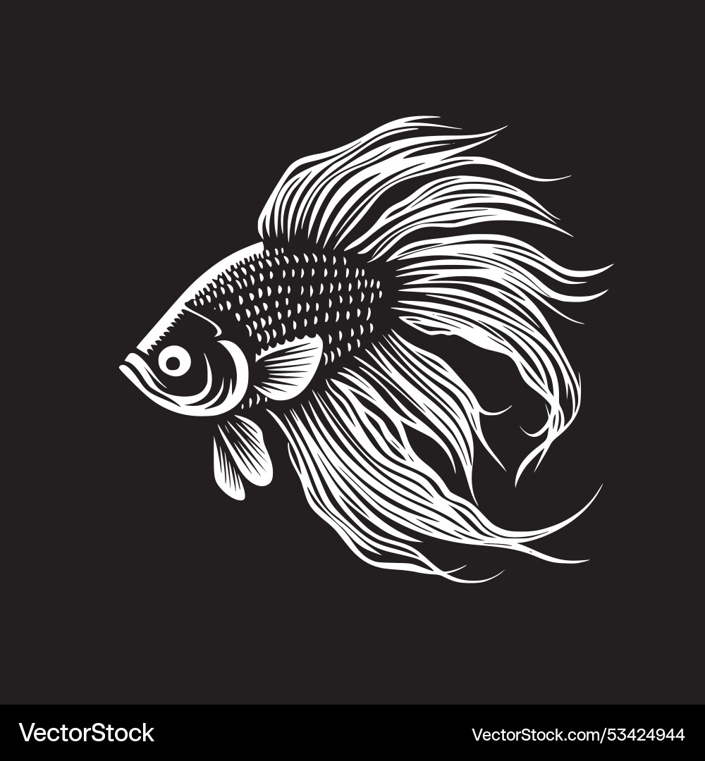 Betta fish - black and white isolated icon Vector Image