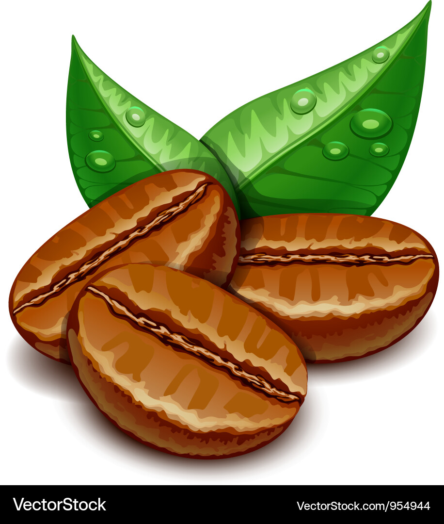 Coffee Royalty Free Vector Image - VectorStock