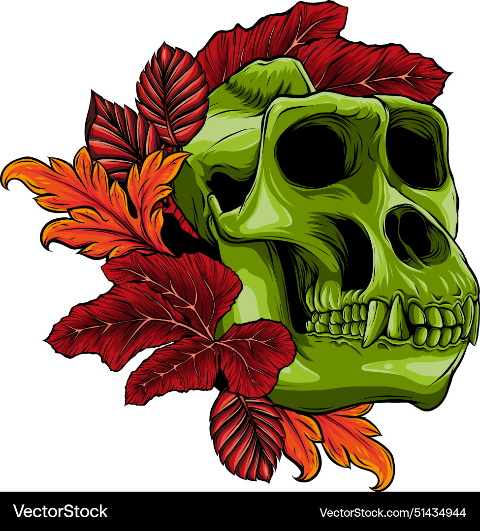 Colored draw of monkey skull Royalty Free Vector Image