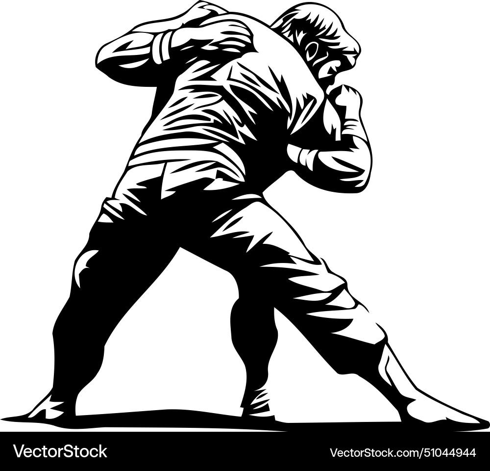 Kung fuial arts kickboxing Royalty Free Vector Image