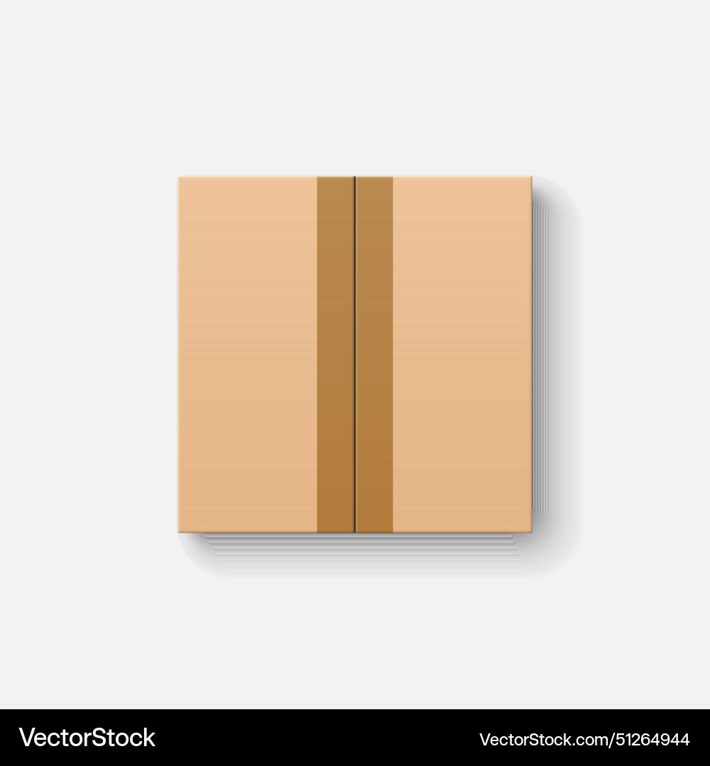 Top view closed cardboard box mockup isolated Vector Image