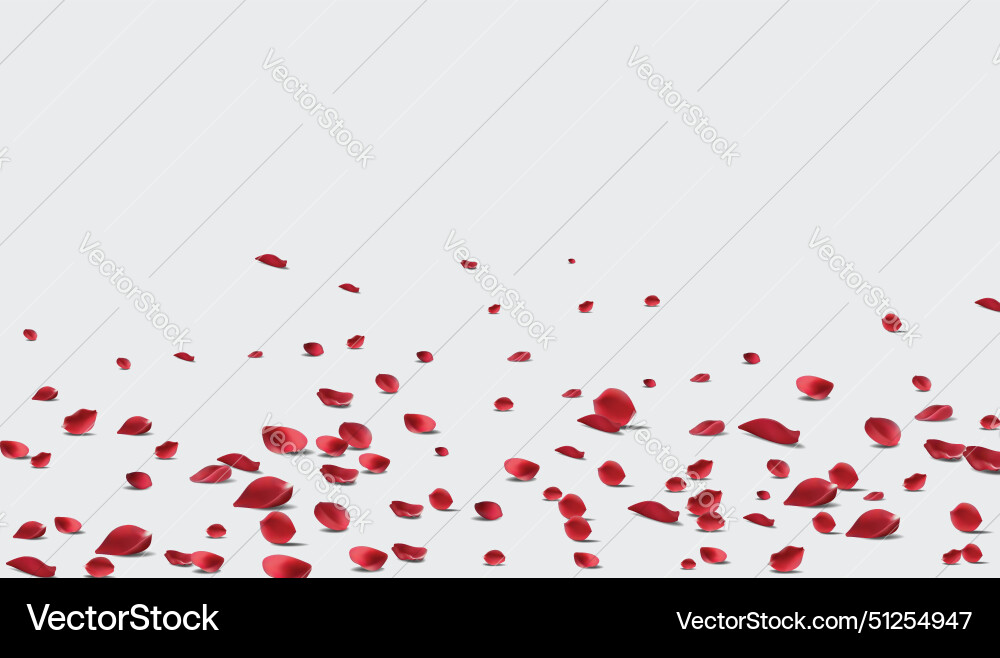 Falling rose petals red Royalty Free Vector Image