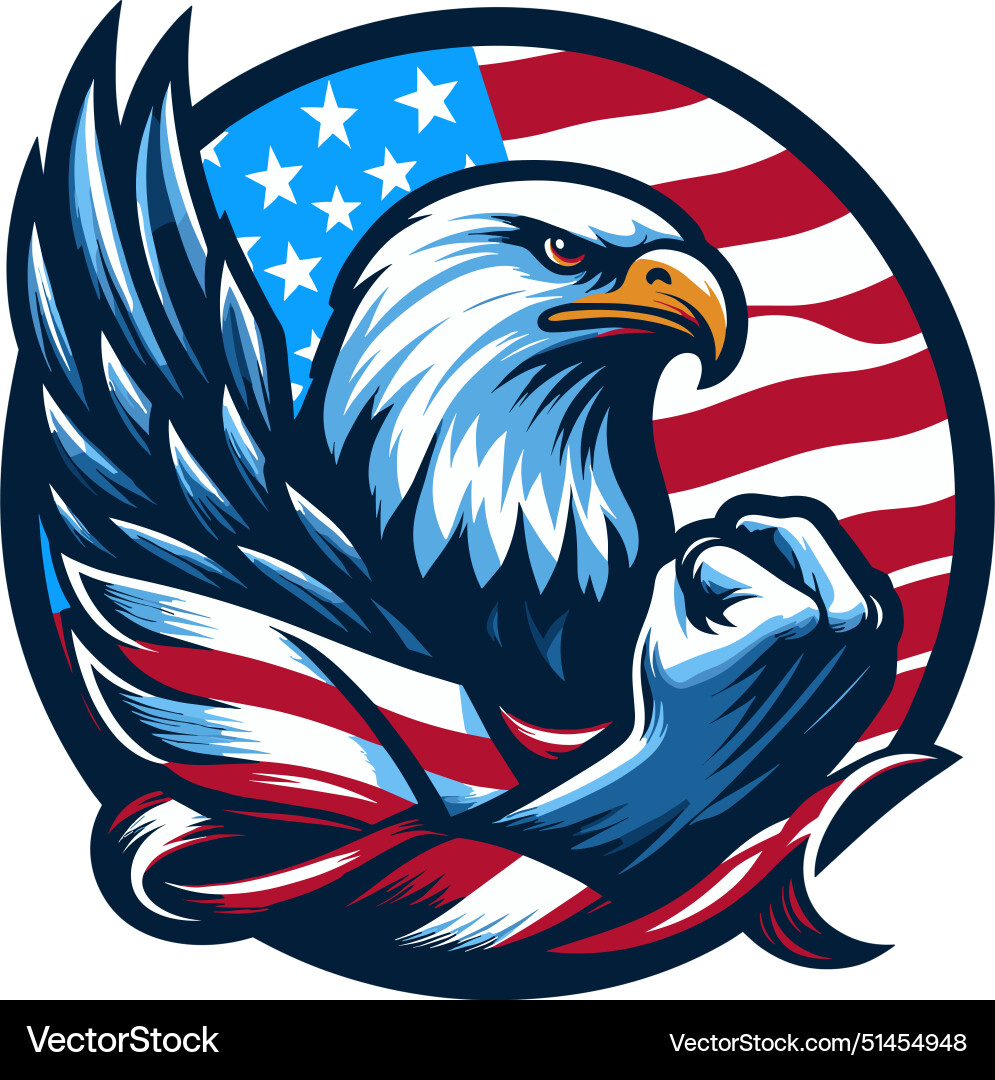 American eagle design with bald eagle like that Vector Image