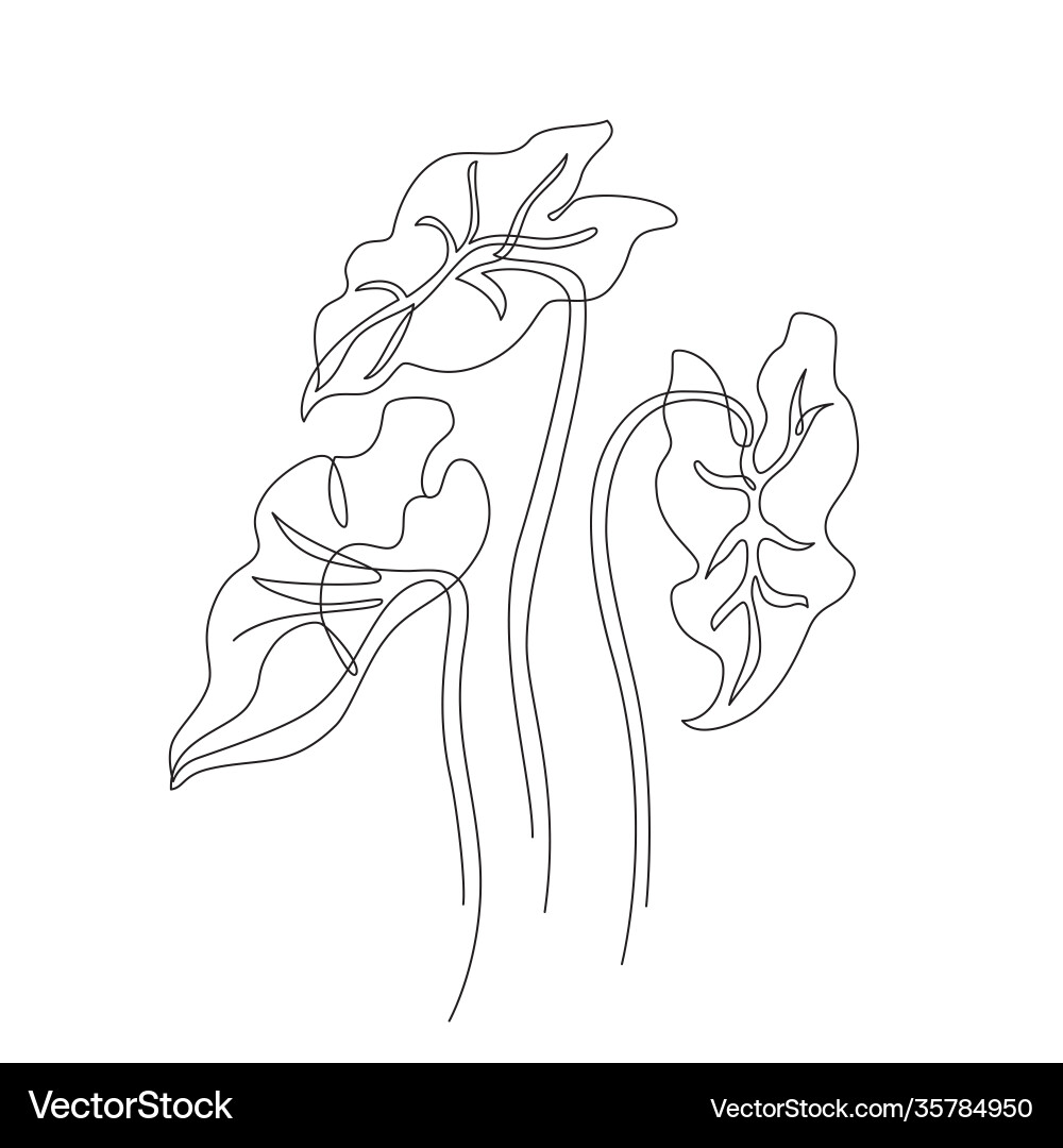 Elegant One-Line Leaf Art Royalty Free Vector Image