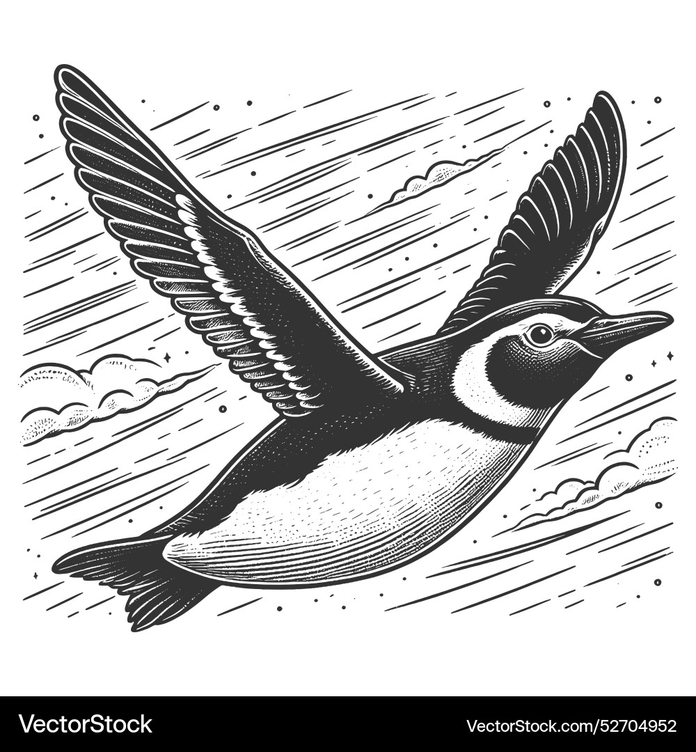 Flying penguin engraving Royalty Free Vector Image