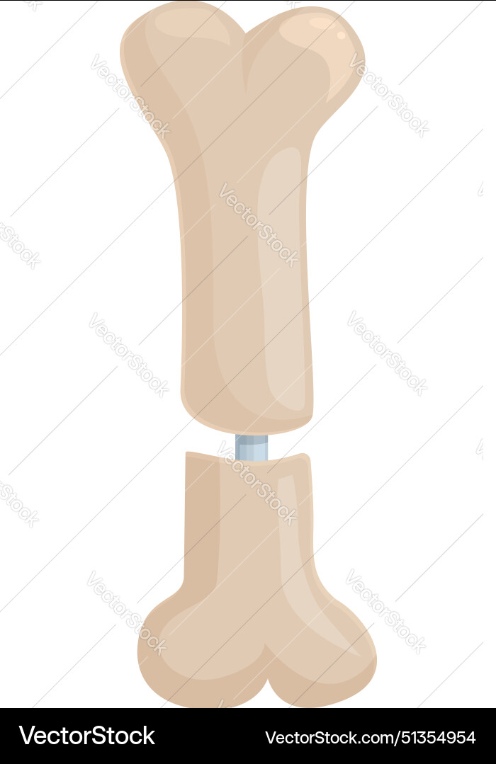 Cartoon bone icon on white background Royalty Free Vector