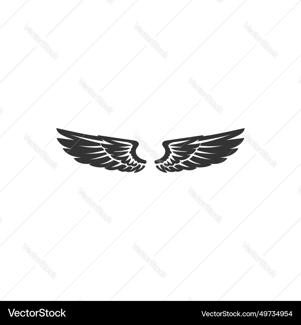 Elegant Angel Wings - Eagle & Falcon Vector Image