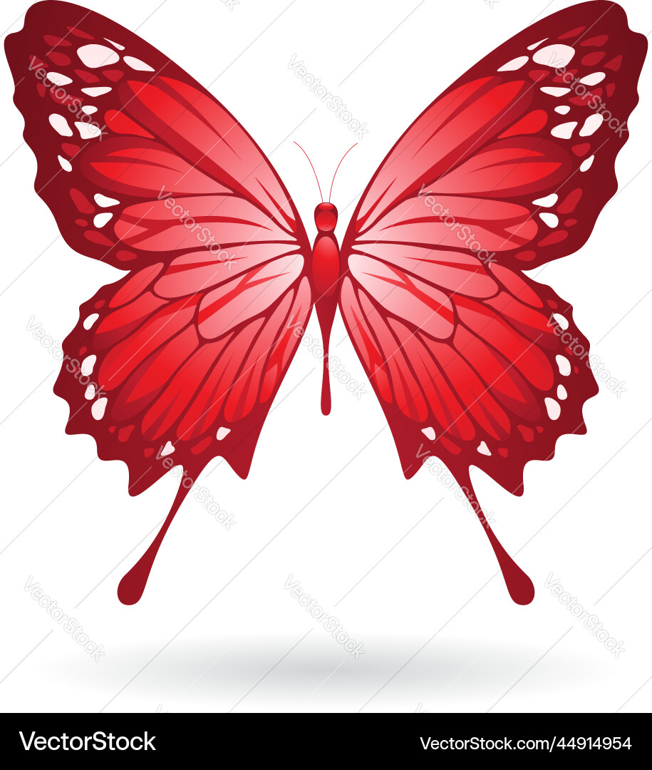 Red butterfly Royalty Free Vector Image - VectorStock