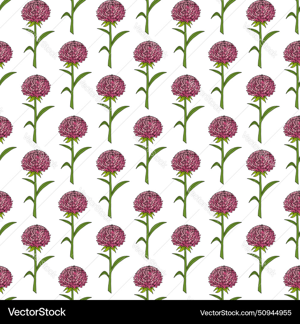 Seamless pattern with fantastic pink aster Vector Image