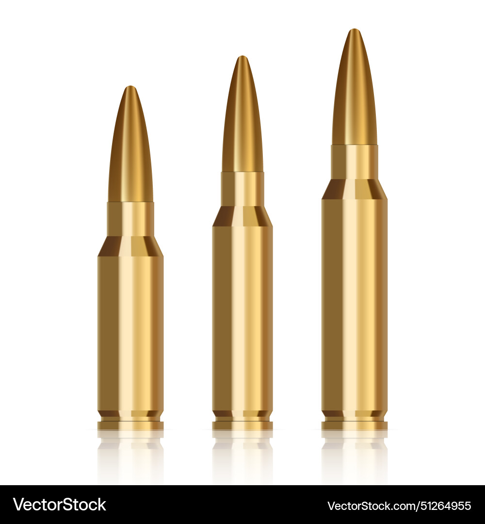 Set of bullets isolated on white background Vector Image