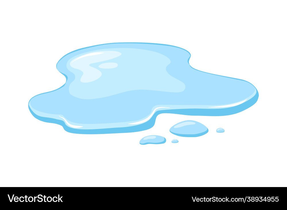 Water spill on a white background puddle Vector Image