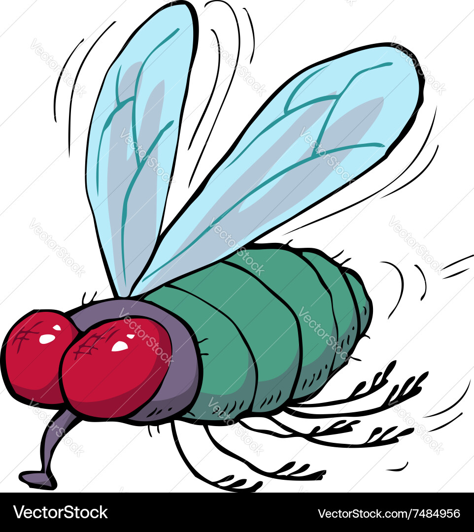 Green fly Royalty Free Vector Image - VectorStock