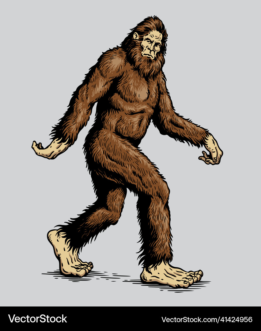 Bigfoot Illustration