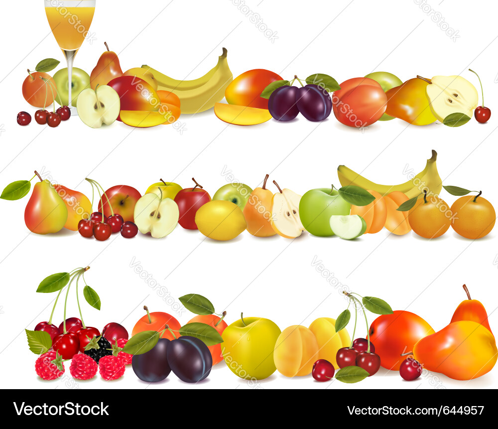 Fruit Royalty Free Vector Image - VectorStock