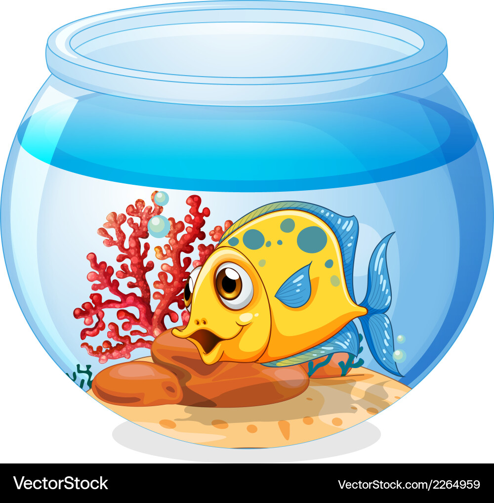 A jar with fish Royalty Free Vector Image - VectorStock