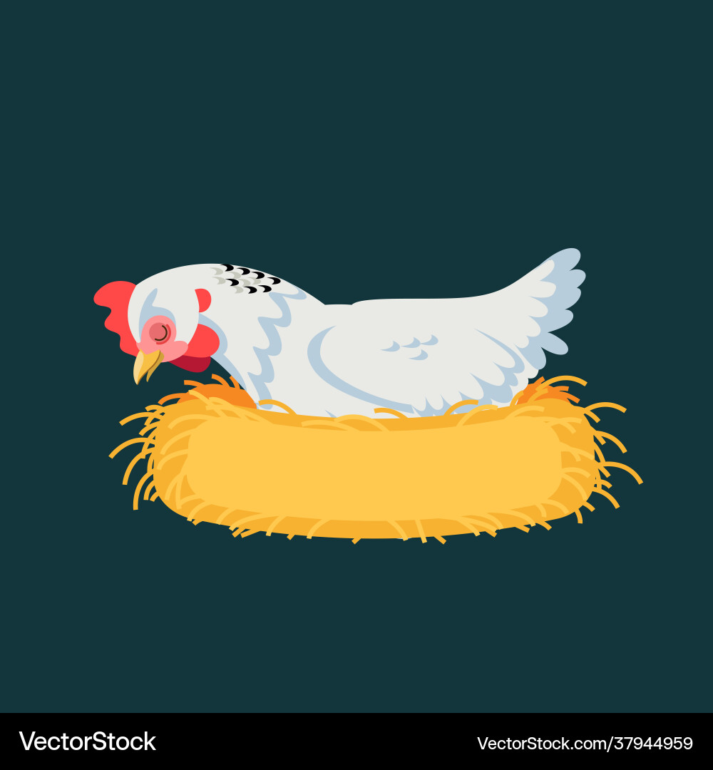 Cartoon hen is sleeping white chicken hatching Vector Image