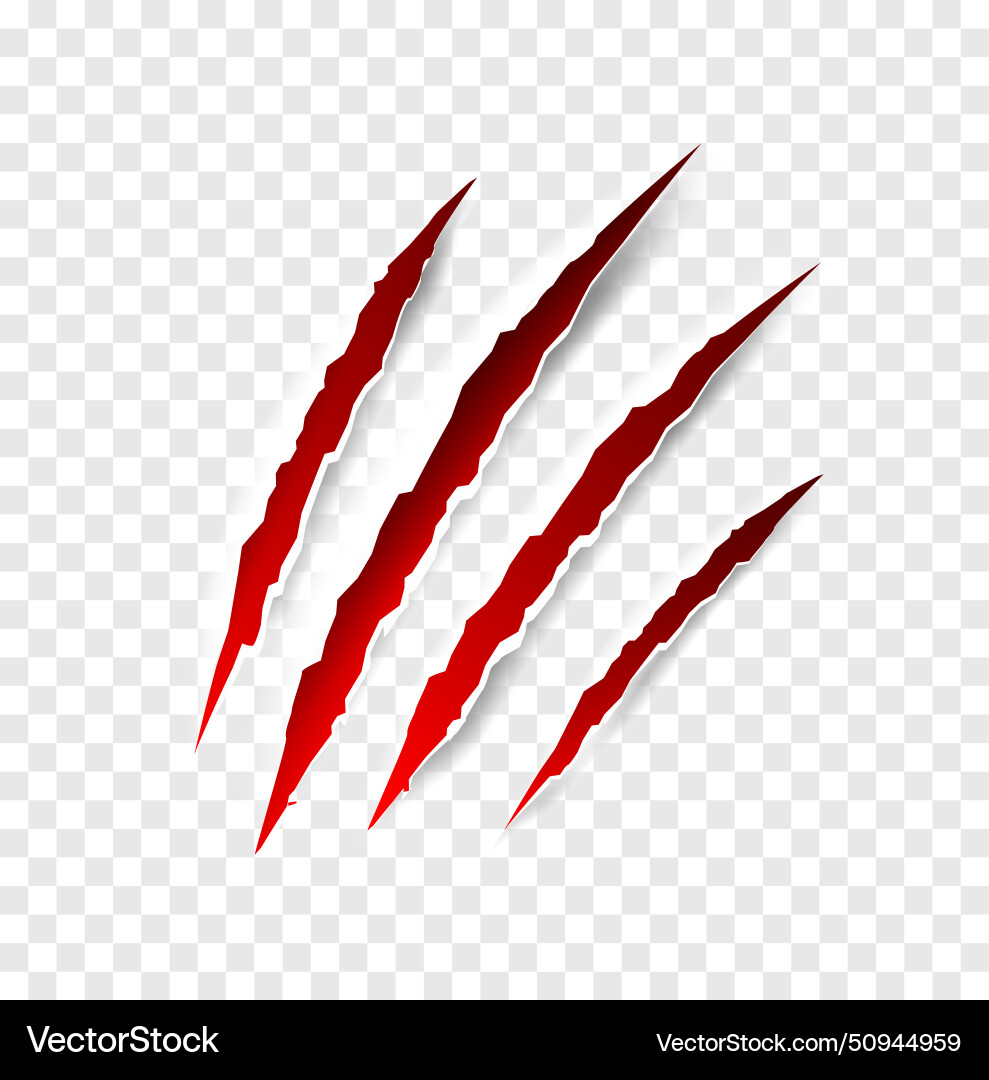 Claws scratches - isolated Royalty Free Vector Image