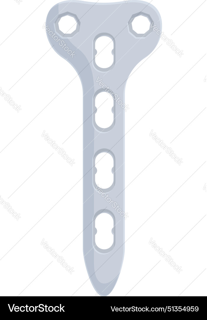 Image of a medical titanium bone fixation Vector Image