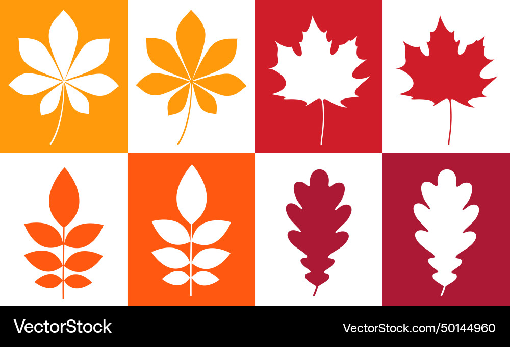 Walnut Leaf Tree Vector Images (over 1,000)