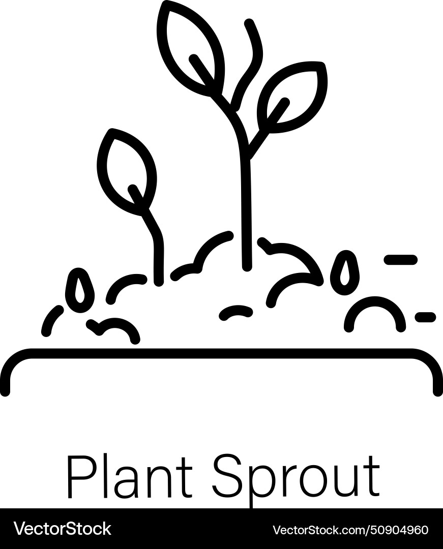 Plant sprout Royalty Free Vector Image - VectorStock