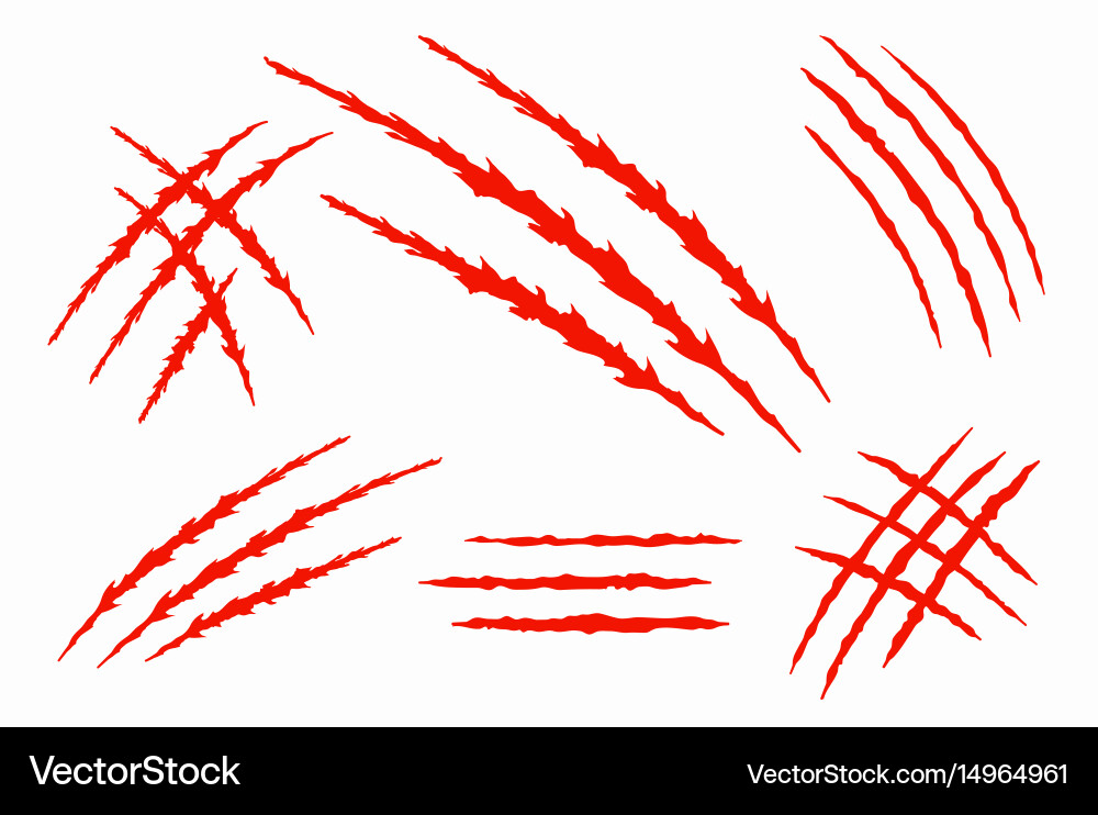 Claw scratches Royalty Free Vector Image - VectorStock