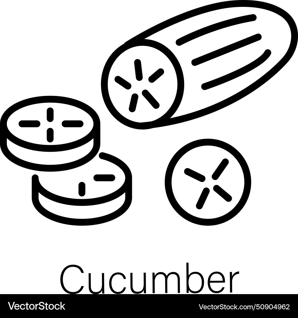 Cucumber Royalty Free Vector Image - VectorStock