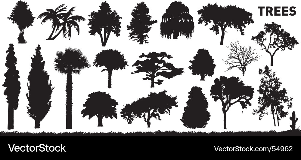 Tree Royalty Free Vector Image - VectorStock