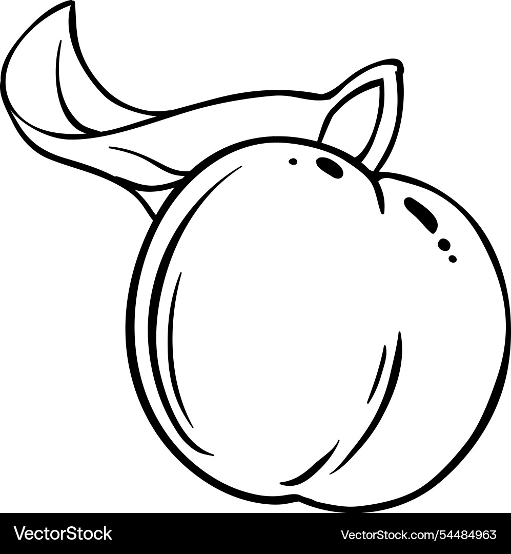 Peach fruit isolated outline Royalty Free Vector Image
