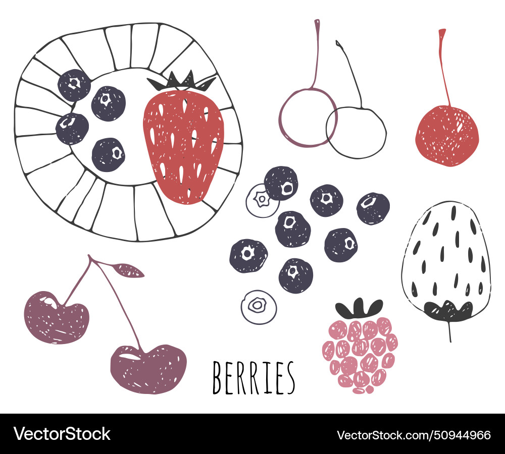 Set of berries Royalty Free Vector Image - VectorStock