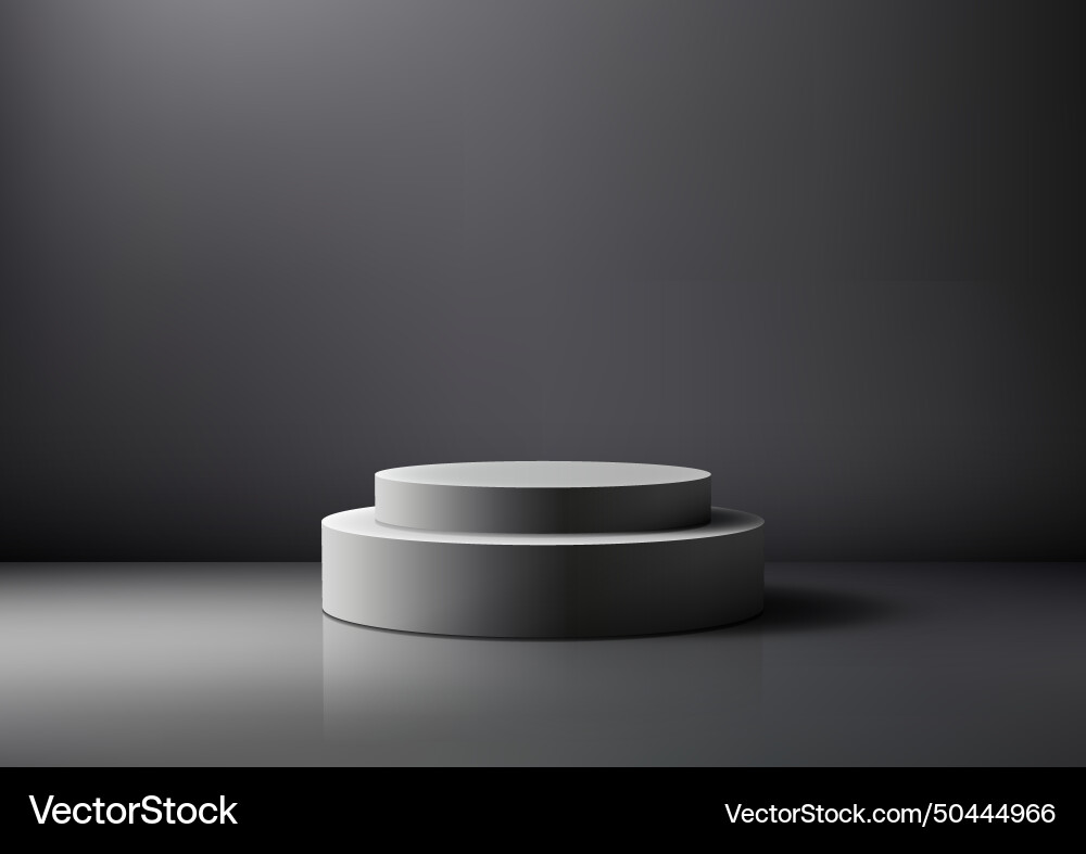 Simple product display white podium on gray Vector Image