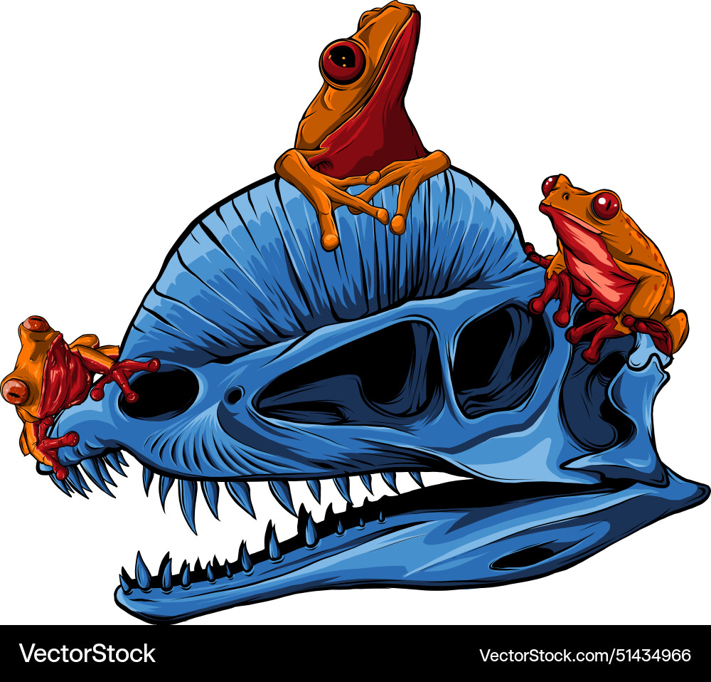 Skull of dilophosaurus dinosaur Royalty Free Vector Image