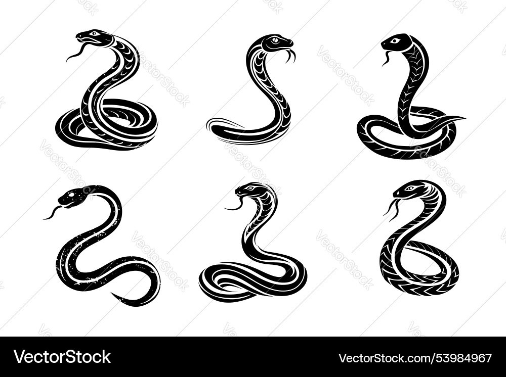 Anaconda collection iconic logos silhouettes Vector Image