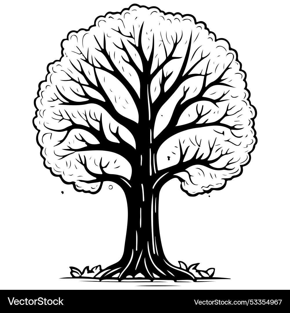 Cartoon oak tree monochrome outline drawing Vector Image