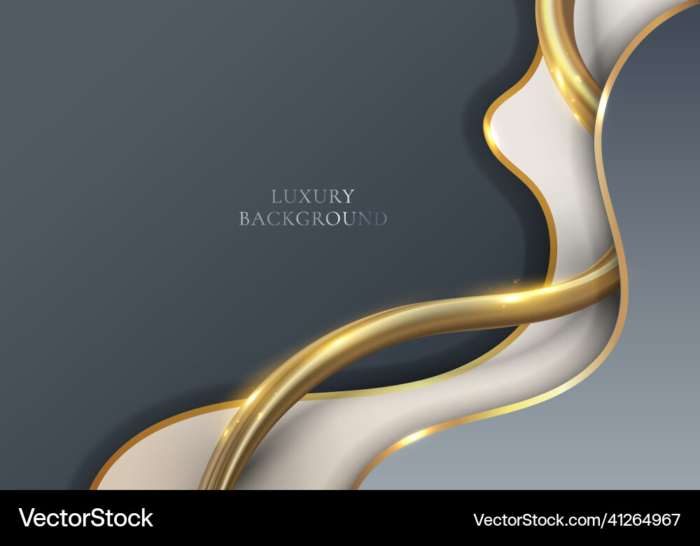 Elegant modern luxury template design white Vector Image