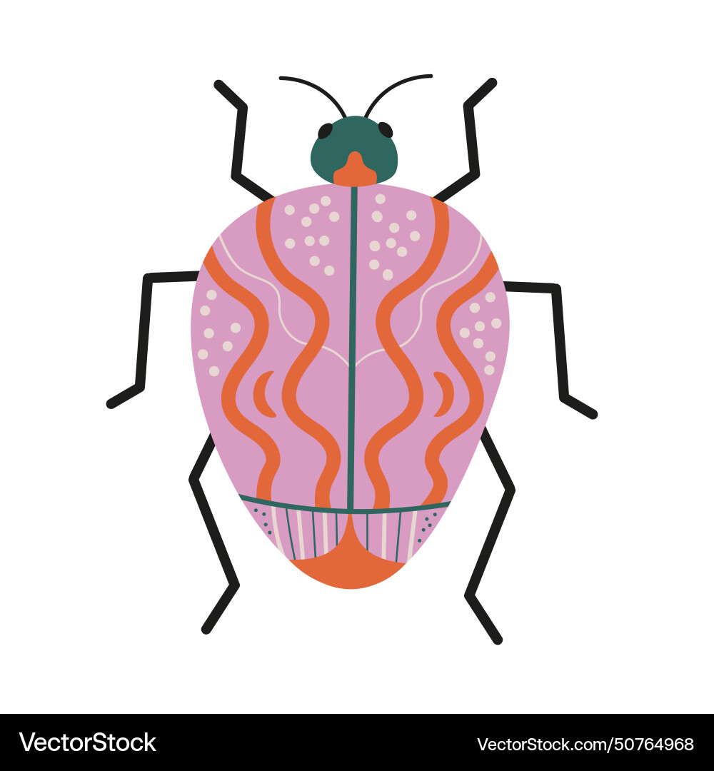 Beetle hand drawn Royalty Free Vector Image - VectorStock
