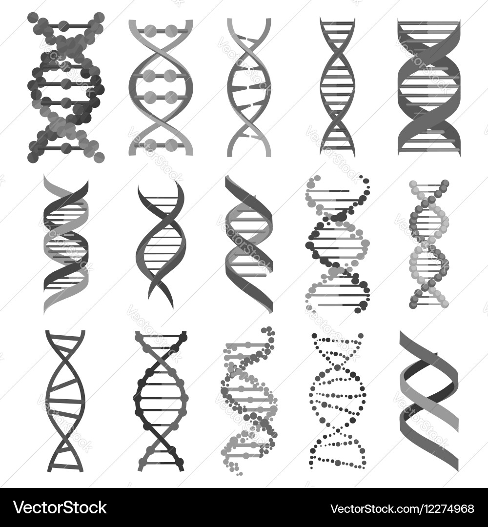DNA Helix Genetic Icons Set Royalty Free Vector Image