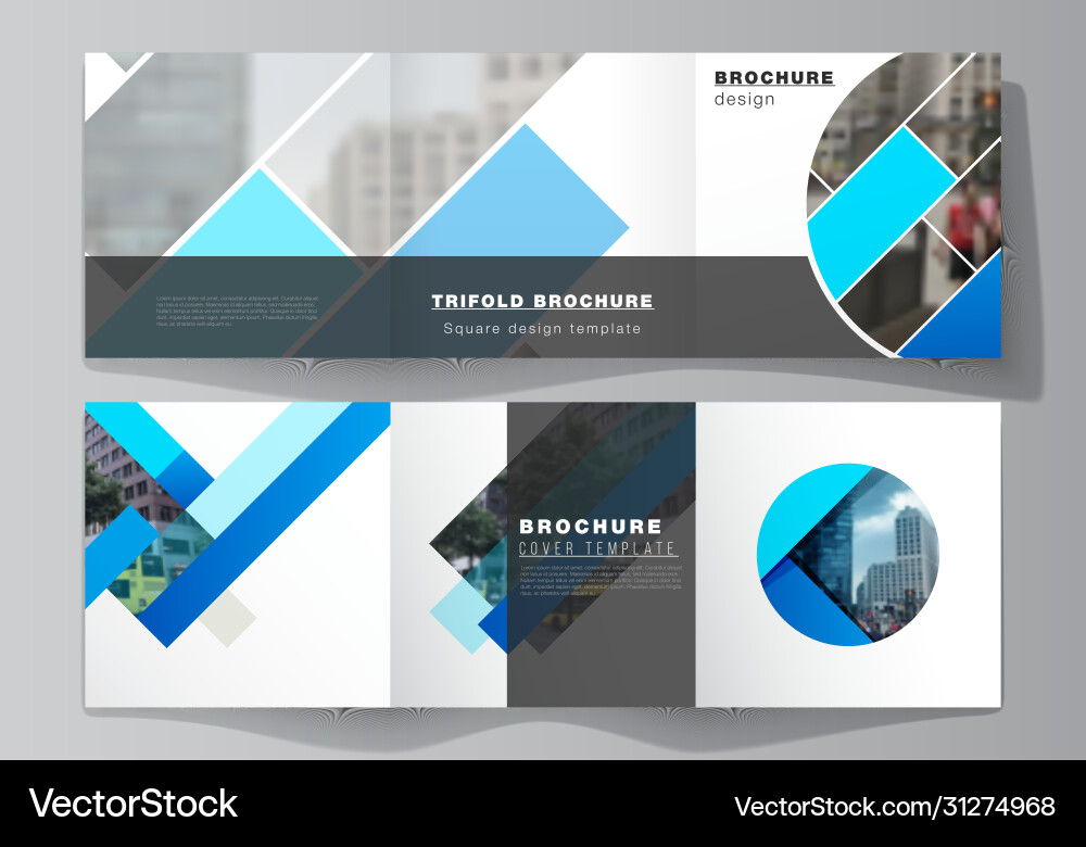 Minimal editable layout square Royalty Free Vector Image