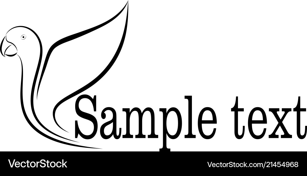 Parrot line drawing Royalty Free Vector Image - VectorStock