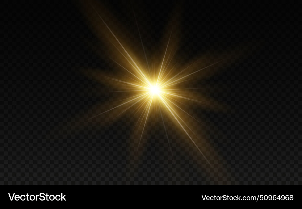 Shining golden star Royalty Free Vector Image - VectorStock