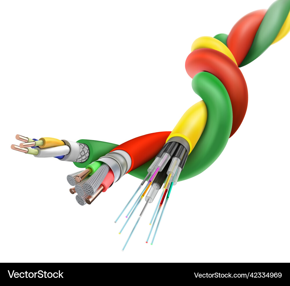 Twisted electric cables of different colors Vector Image