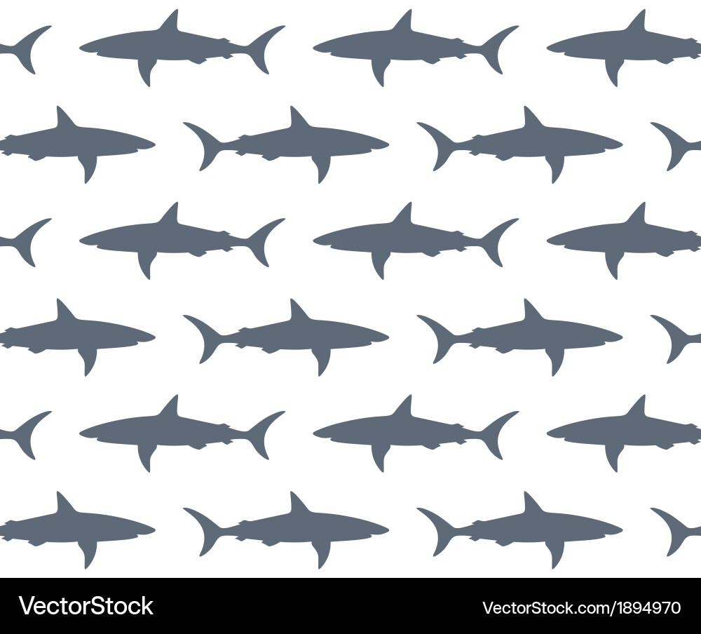 Shark Royalty Free Vector Image - VectorStock