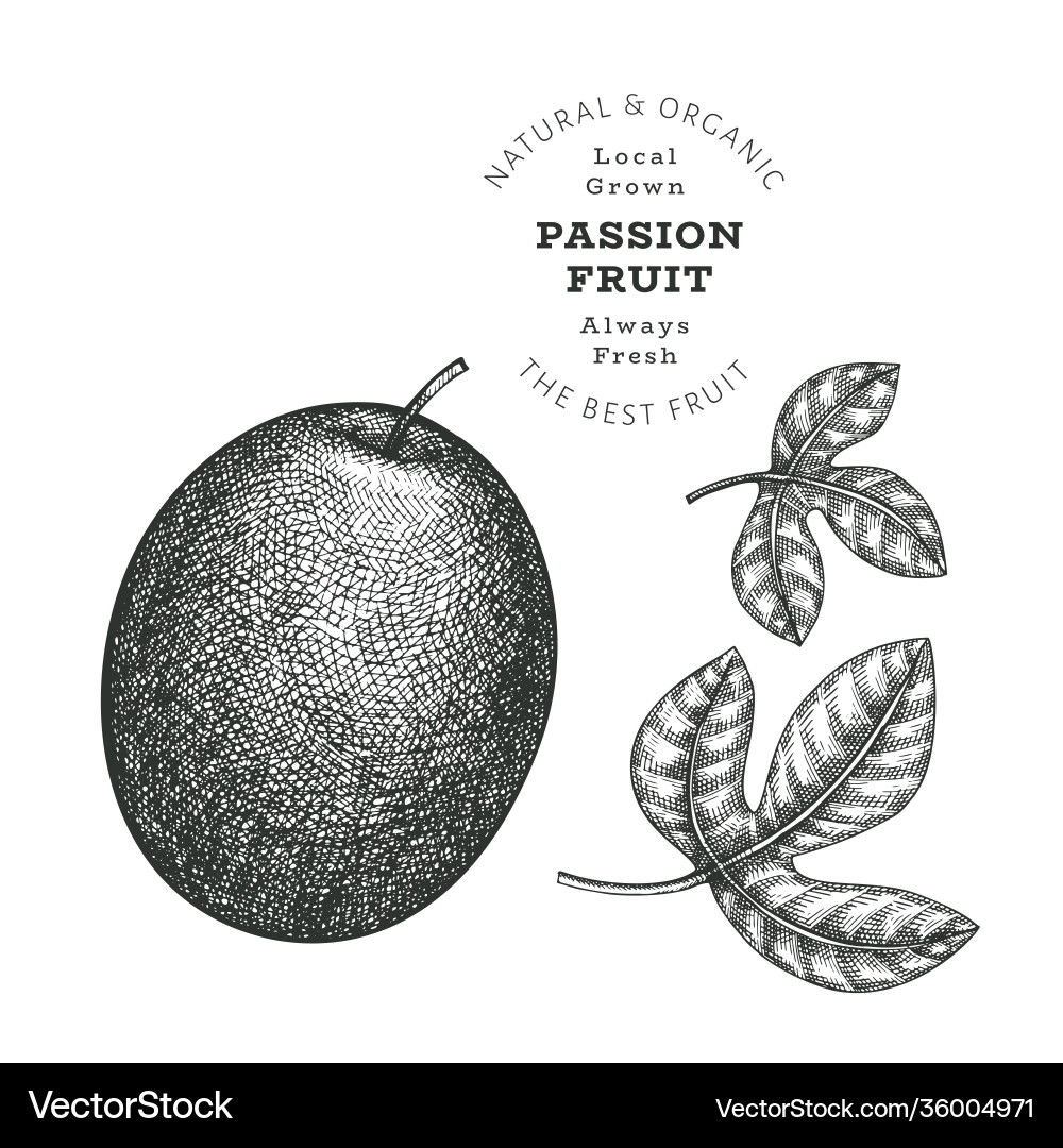 Hand drawn sketch style passion fruit organic Vector Image