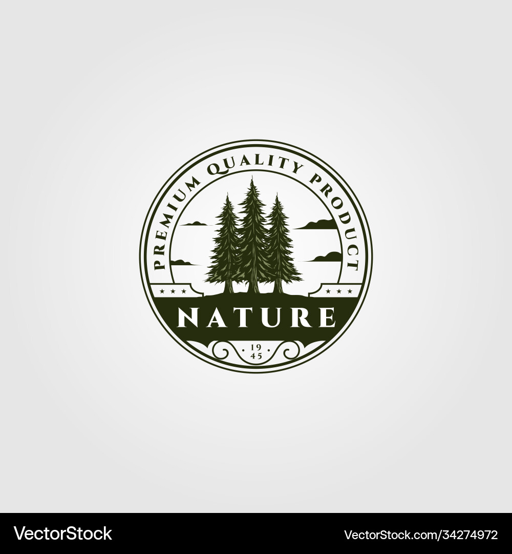 Pine tree emblem design vintage spruce badge Vector Image